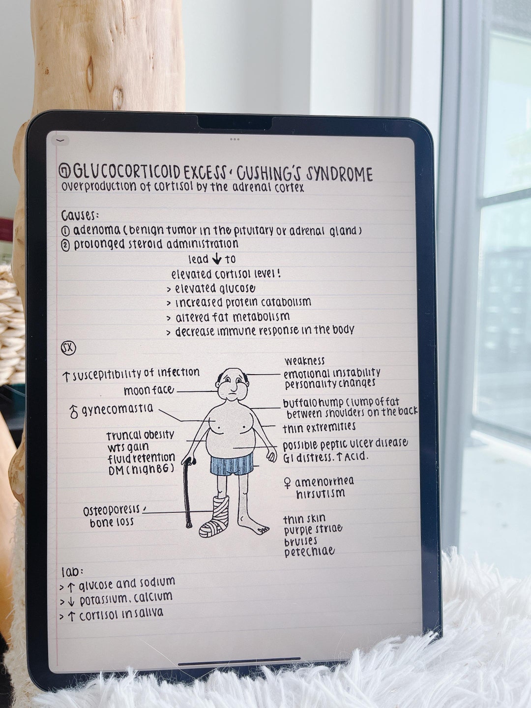 Endocrine System Review | Nursing School Notes | Nursing Exam Review ...