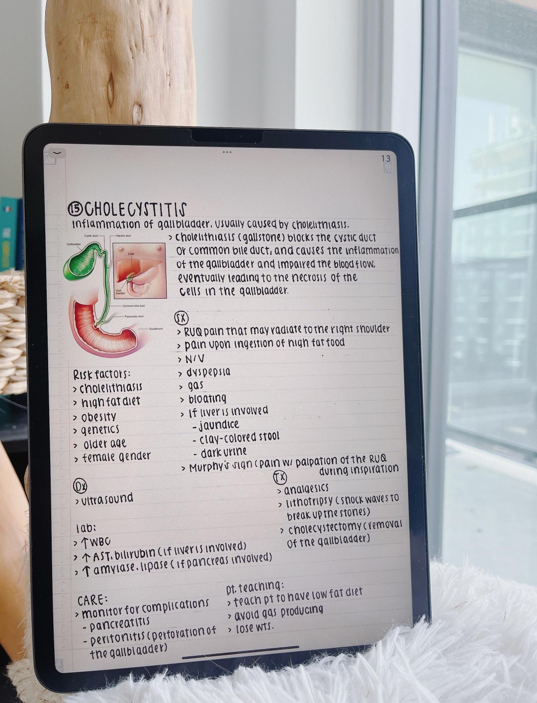 GI System Review Nursing School Notes Nursing Exam Review nursing Exam ...