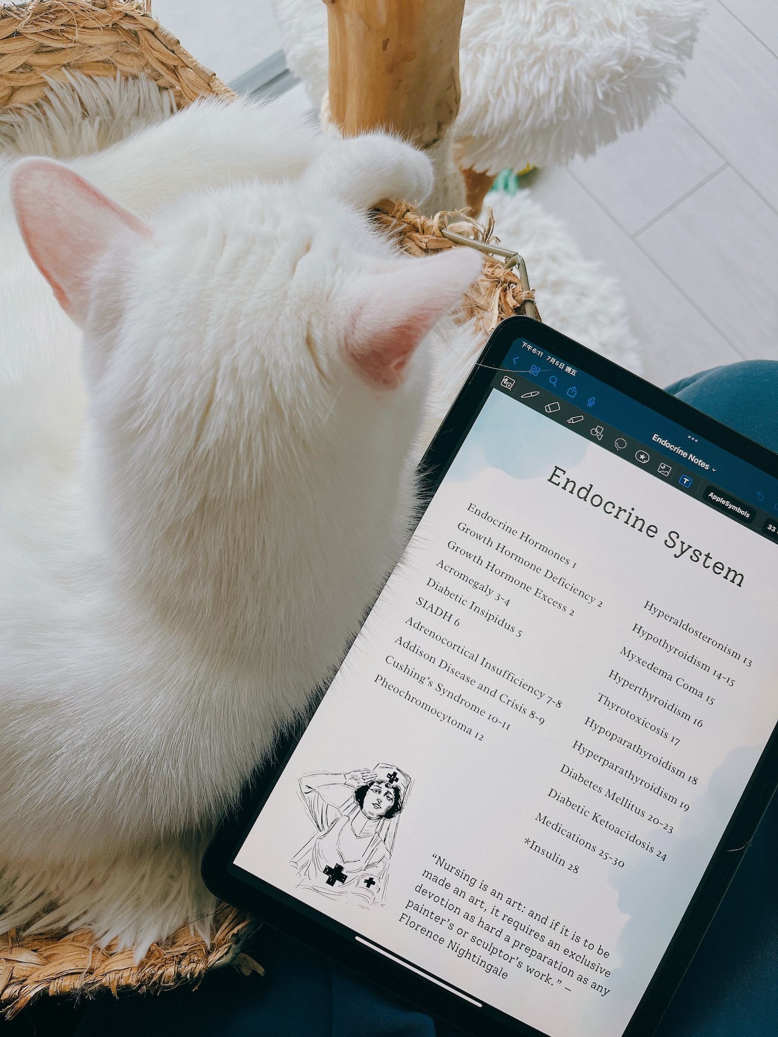 Endocrine System Review | Nursing School Notes | Nursing Exam Review ...