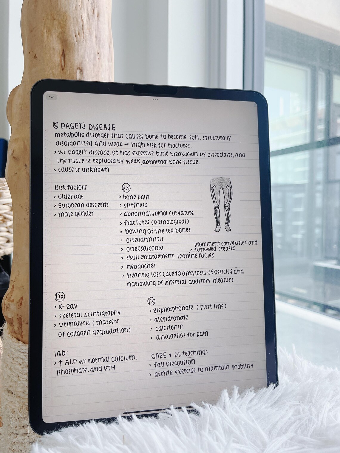 Musculoskeletal System Review | Nursing School Notes | Nursing Exam ...