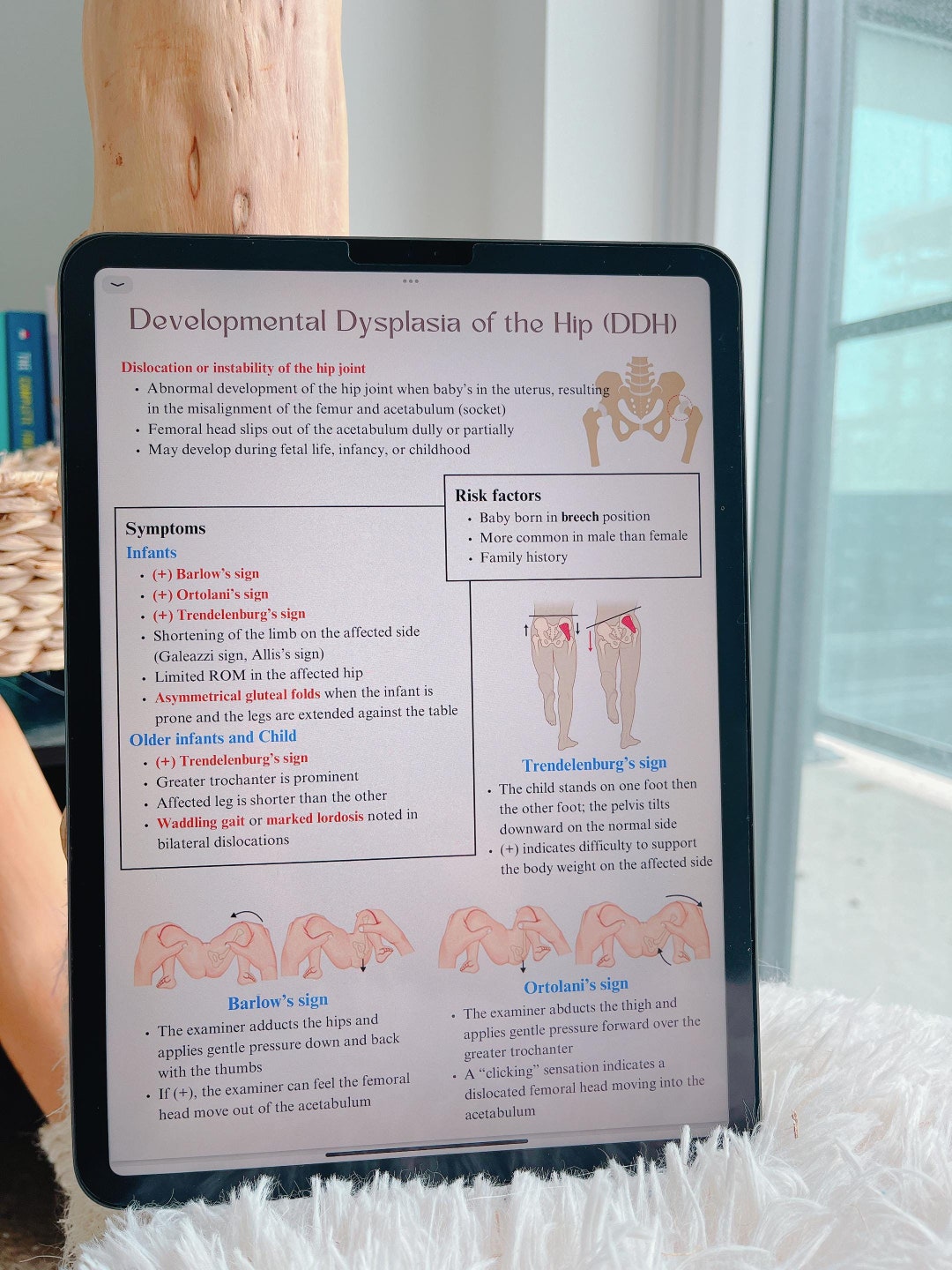 Pediatric Musculoskeletal System Notes | Nursing Exam Review (PDF) - Etsy