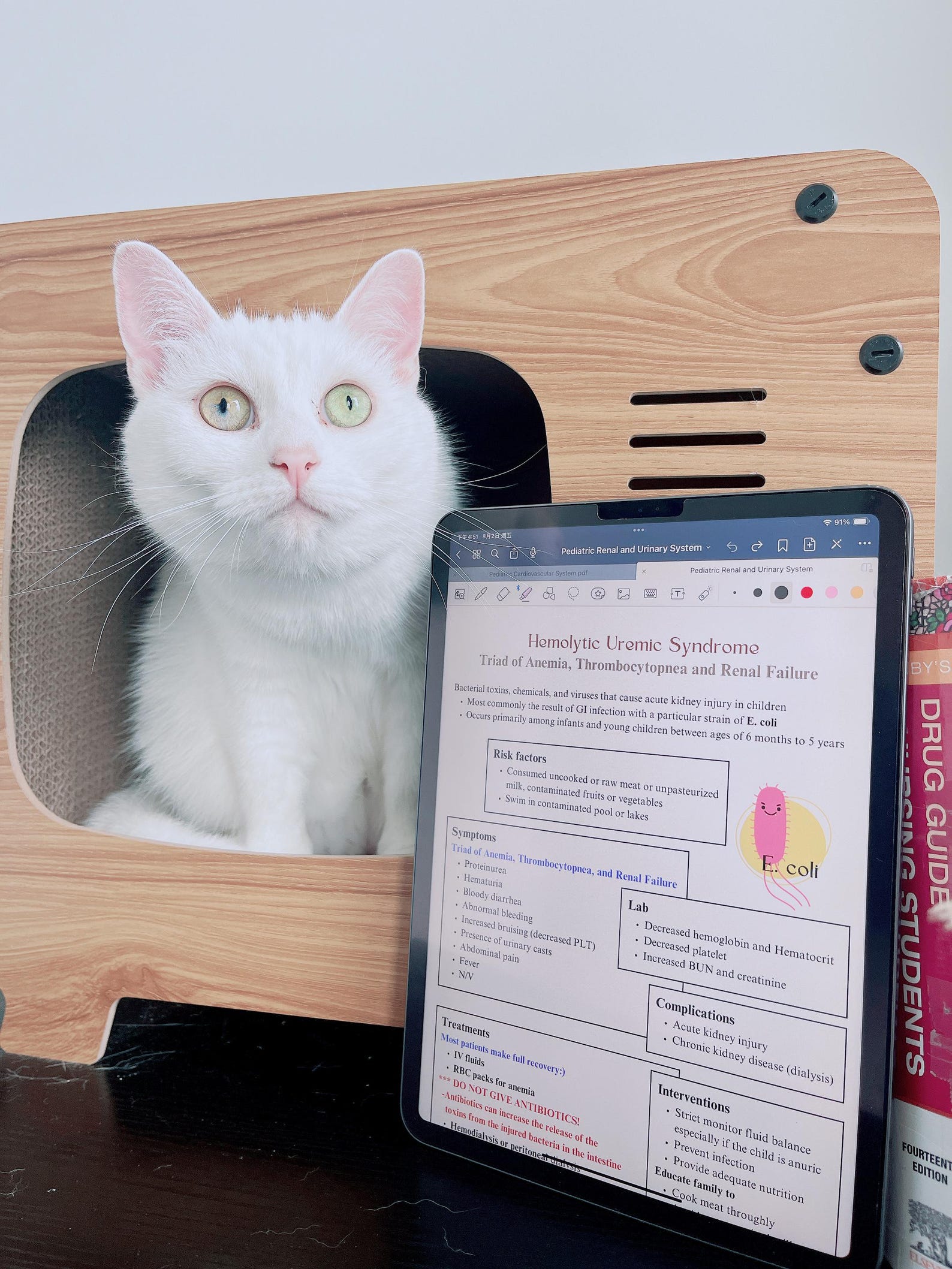 Renal and Urinary System | Pediatric | Nursing School Notes | Nursing ...