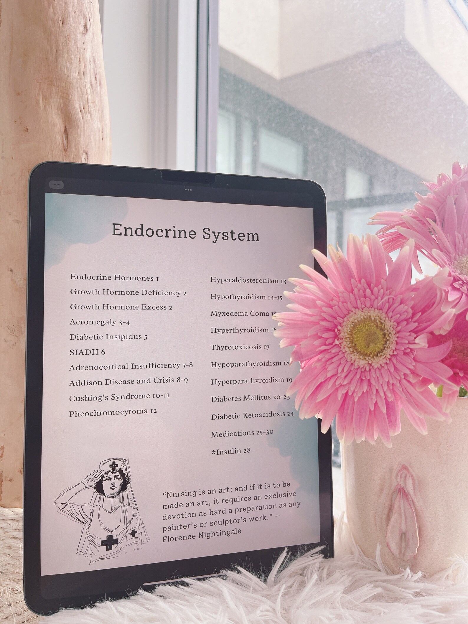 Endocrine System Review | Nursing School Notes (PDF) - Etsy