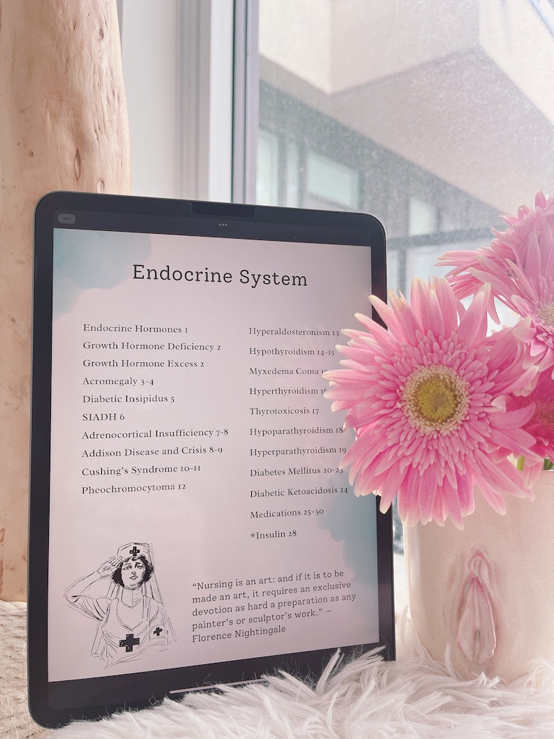 Endocrine System Review | Nursing School Notes (PDF) - Etsy