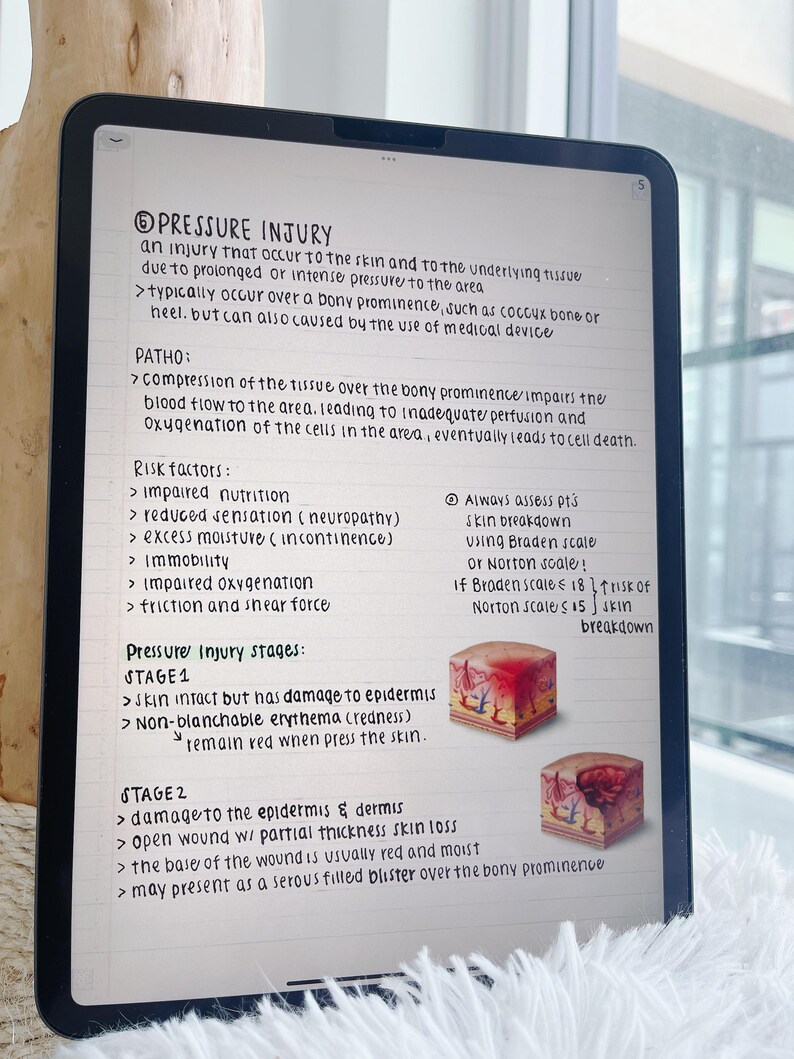 Integumentary System Nursing Notes | NCLEX Review (26 Pages) (PDF) - Etsy