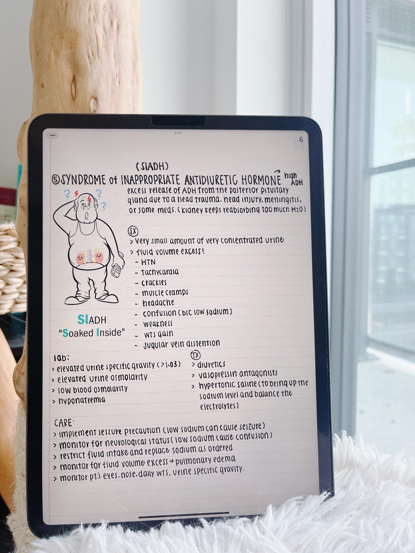 Endocrine System Review | Nursing School Notes | Nursing Exam Review ...