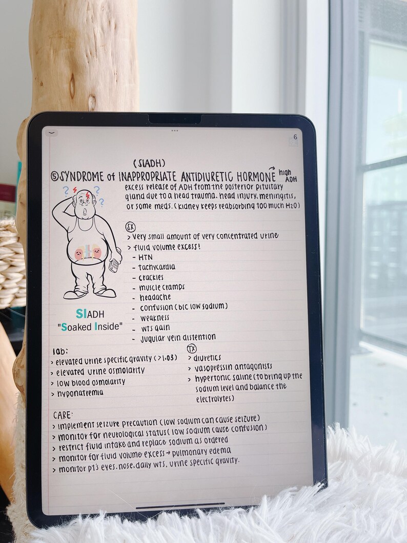 Endocrine System Review | Nursing School Notes (PDF) - Etsy