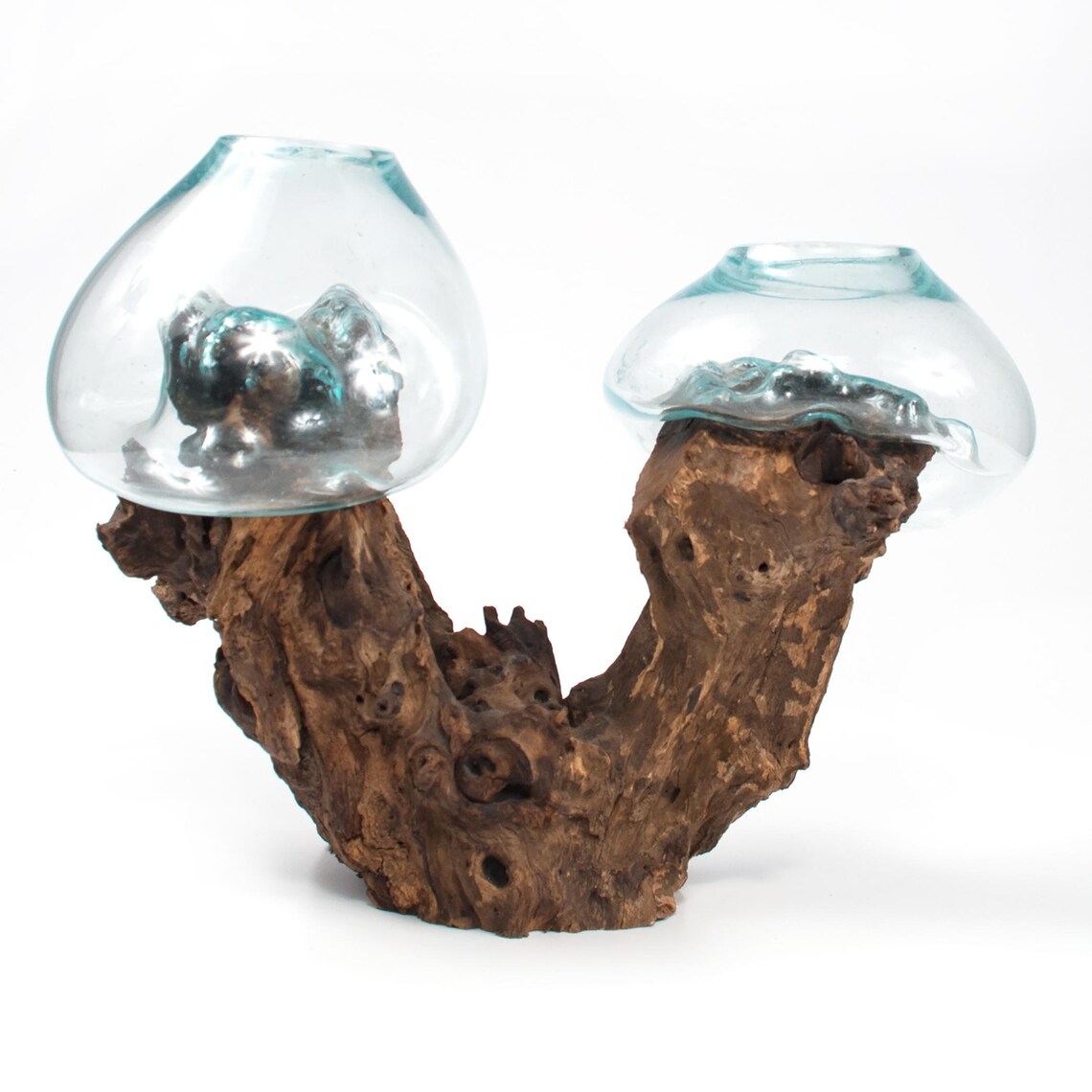 Double Glass Vase With Natural Wood Root Base G132 - Etsy