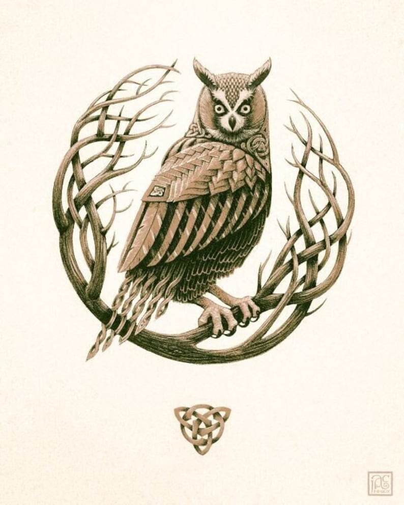 Owl Celtic Knotwork Art Print - Etsy