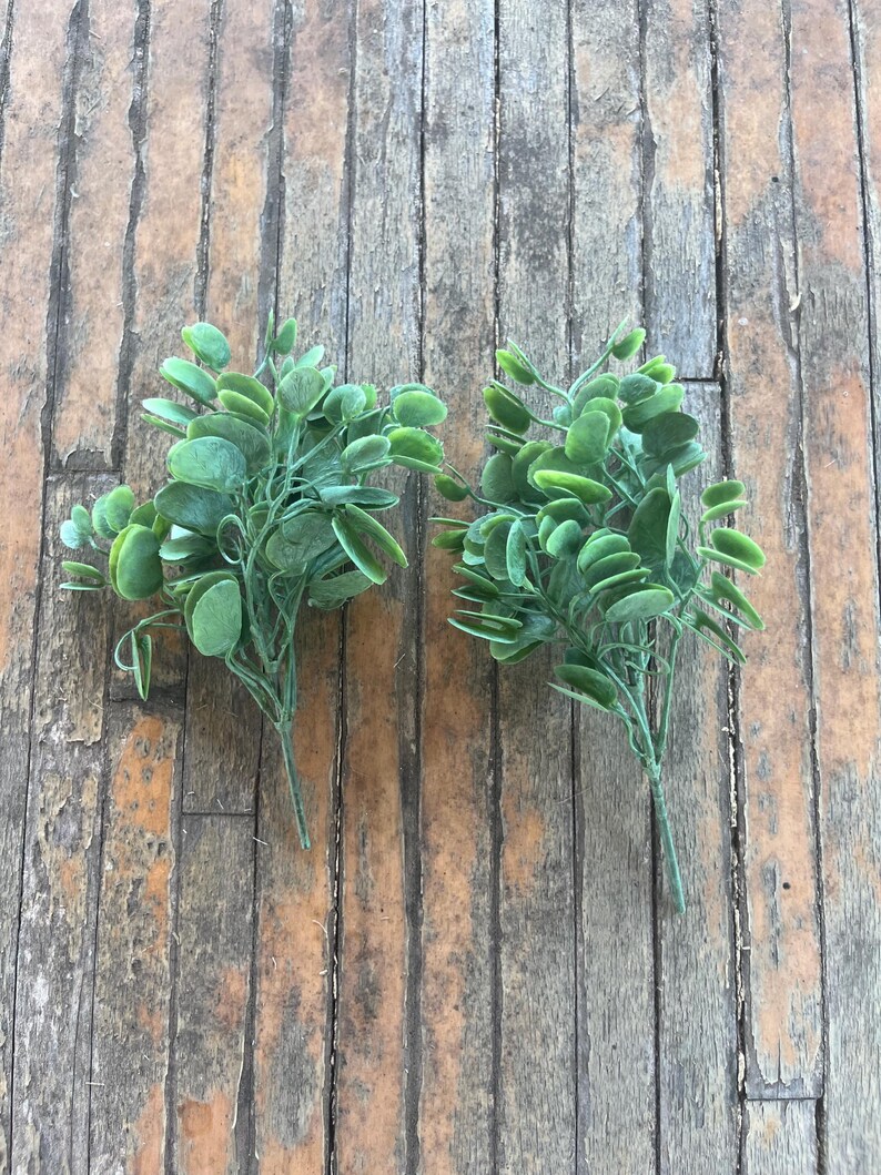 Set of 2 Thick Fern Eucalyptus Greenery Accent Greenery Sprig Greenery ...