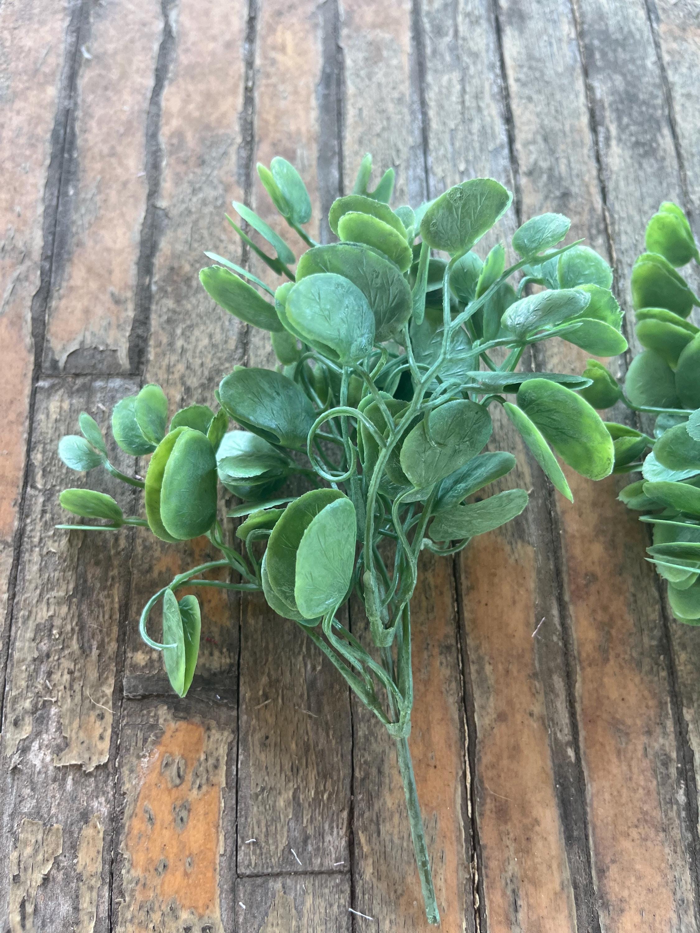 Set of 2 Thick Fern Eucalyptus Greenery Accent Greenery Sprig Greenery ...