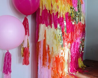 Custom Fringe Backdrop, Photo Backdrop, Fringe Decor, Party Backdrop ...