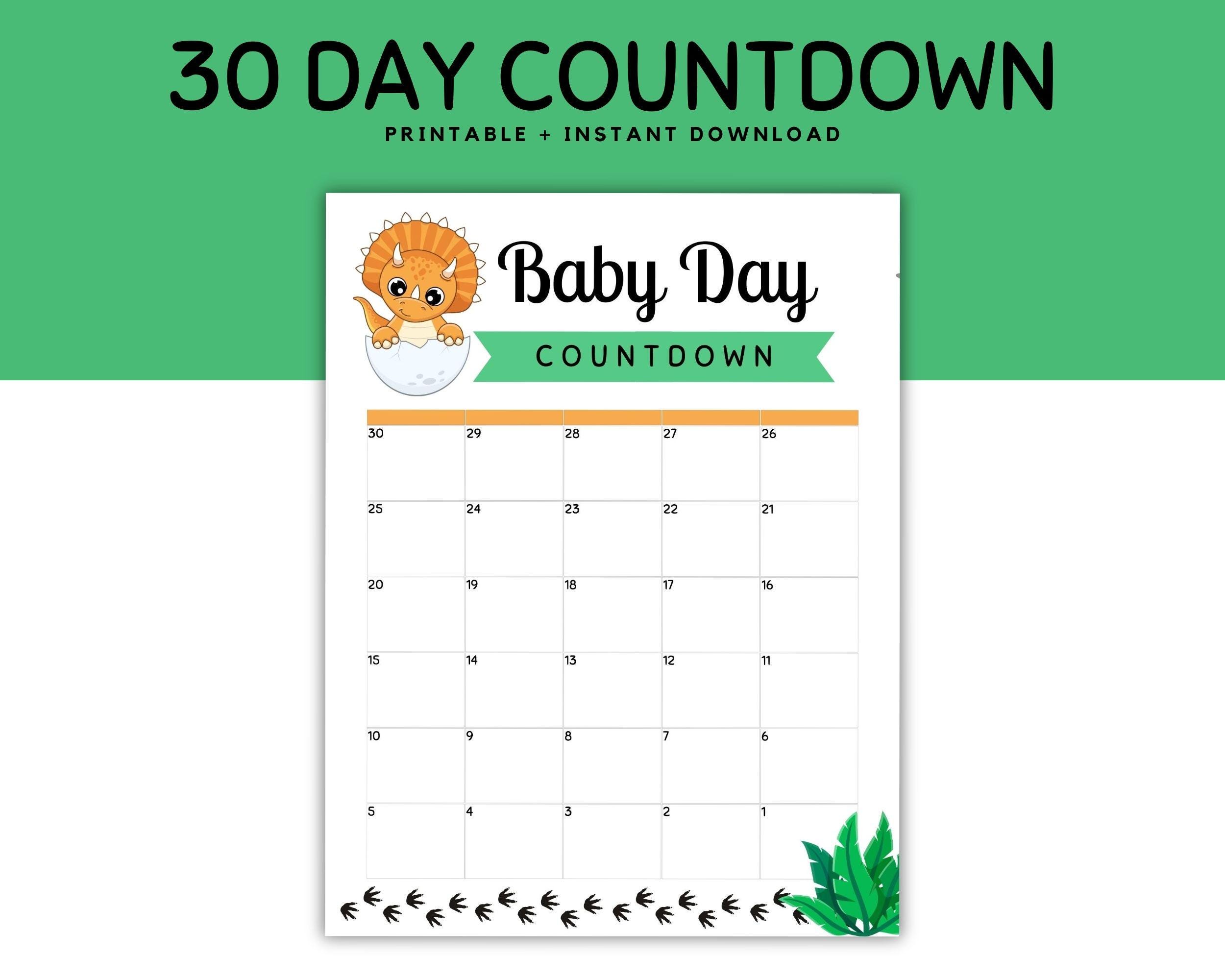 Dinosaur Themed Baby Countdown Calendar, Baby Arrival Countdown ...