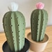 3D Printed Cactus Toothpick Dispenser: Charcuterie Board Decor - Etsy