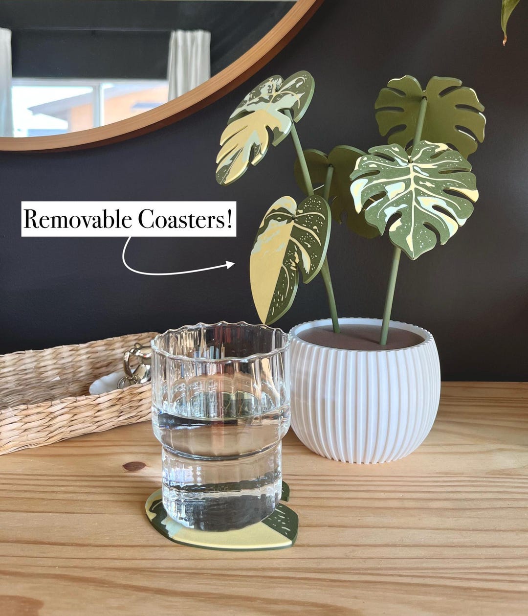 Monstera Thai Constellation Coasters Plant Set for Housewarming Gift ...