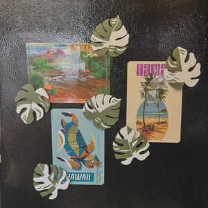 Full Set Large Magnet Monstera for Fridge Strong Magnets Refrigerator ...