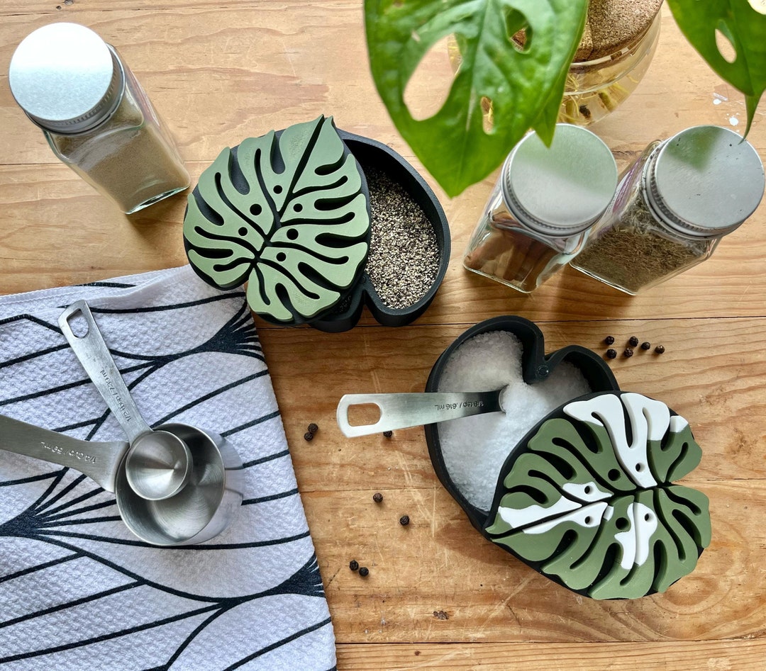 Monstera Container Cute Container Indoor Plant Monstera Albo Kitchen ...