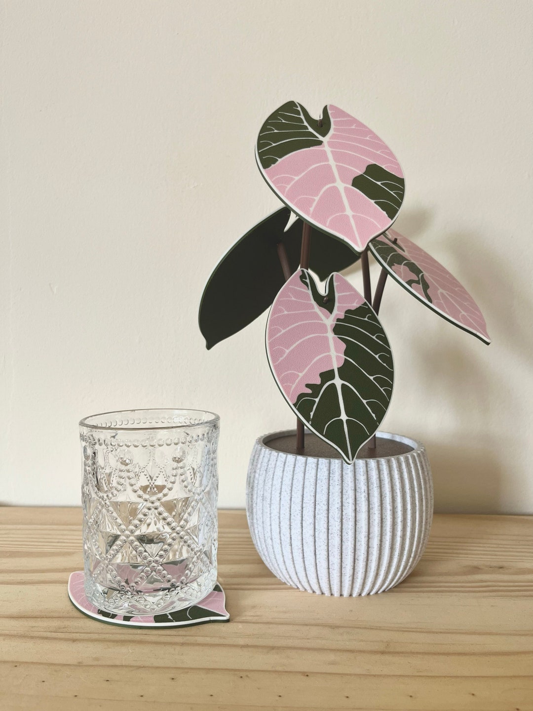 Coaster Plant Set for Housewarming Gift Decoration Variegated Custom ...