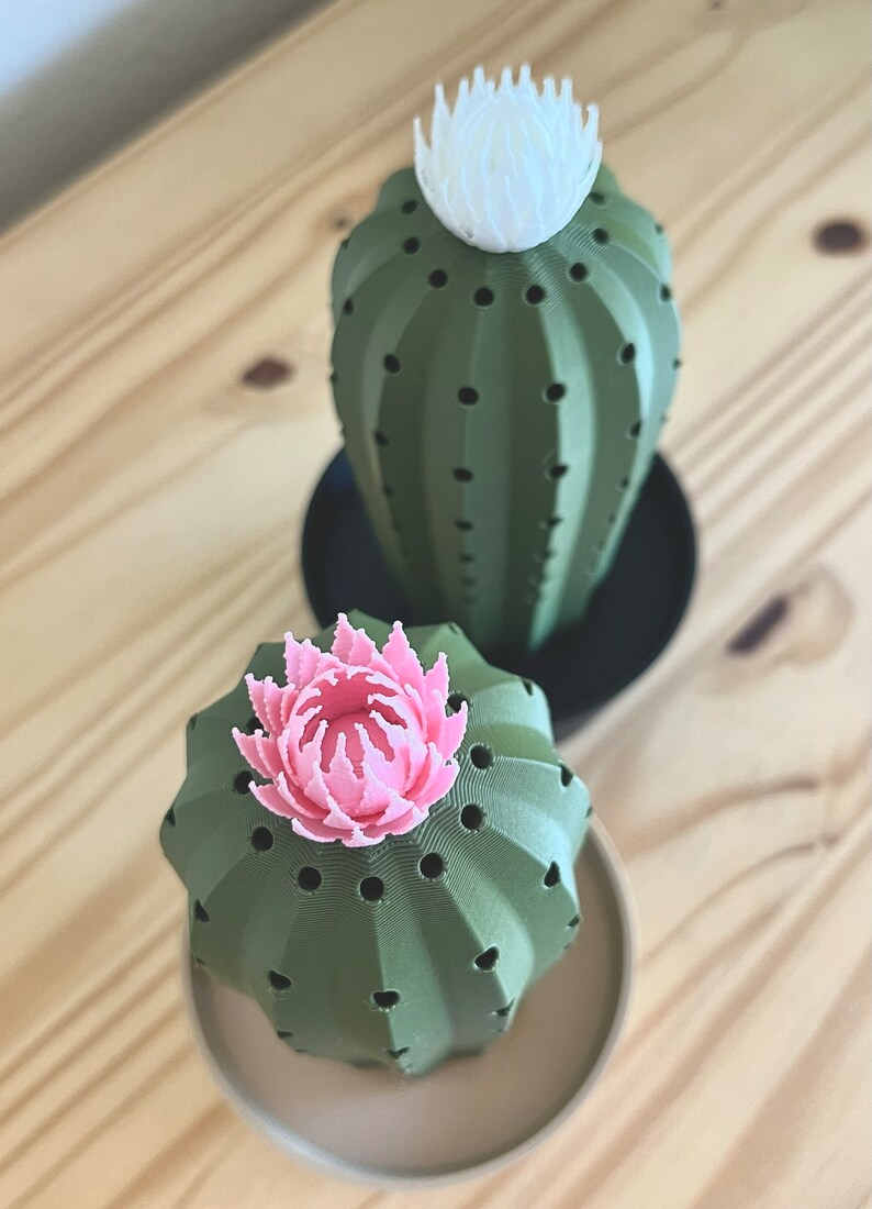 3D Printed Cactus Toothpick Dispenser: Charcuterie Board Decor - Etsy