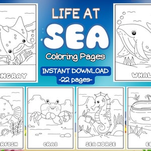 Sea Animals Coloring Pages, 22 Printable Pages, Instant Download ...
