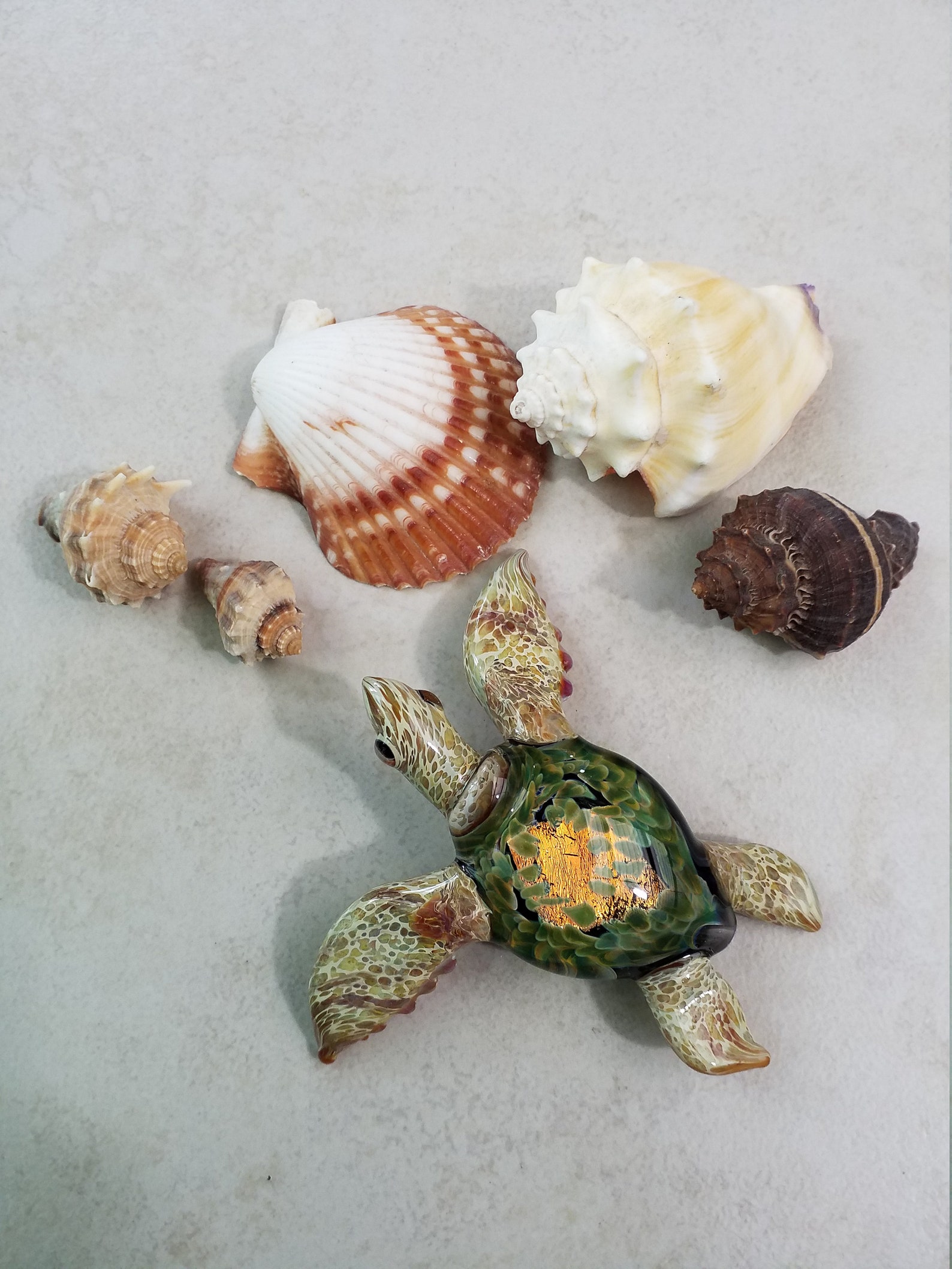 Glass Turtle Shell Sea Turtle Sea Shell Blown Glass Turtle | Etsy