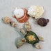 Glass Turtle Shell Sea Turtle Sea Shell Blown Glass Turtle - Etsy