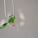 Ruby Red Throat Hummingbird Pendant on Silver Necklace a Great Gift for ...