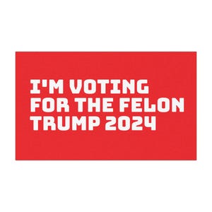 2024 Election Trump Car Magnet, 2024 Election Trump, Trump Car Magnet ...