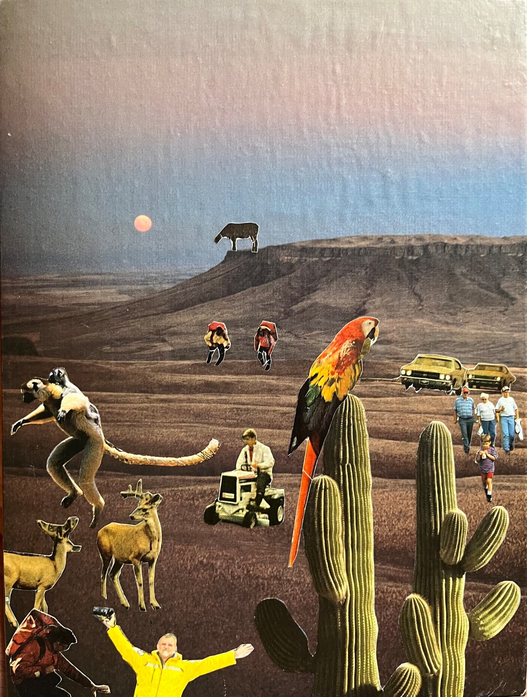 Handmade Analog Magazine Paper Collage human Exploration 6x8 Canvas ...