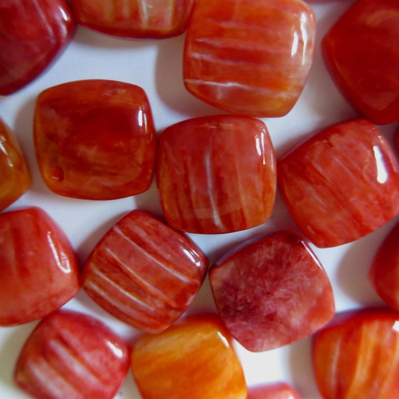 Red Spiny Oyster Square - Etsy