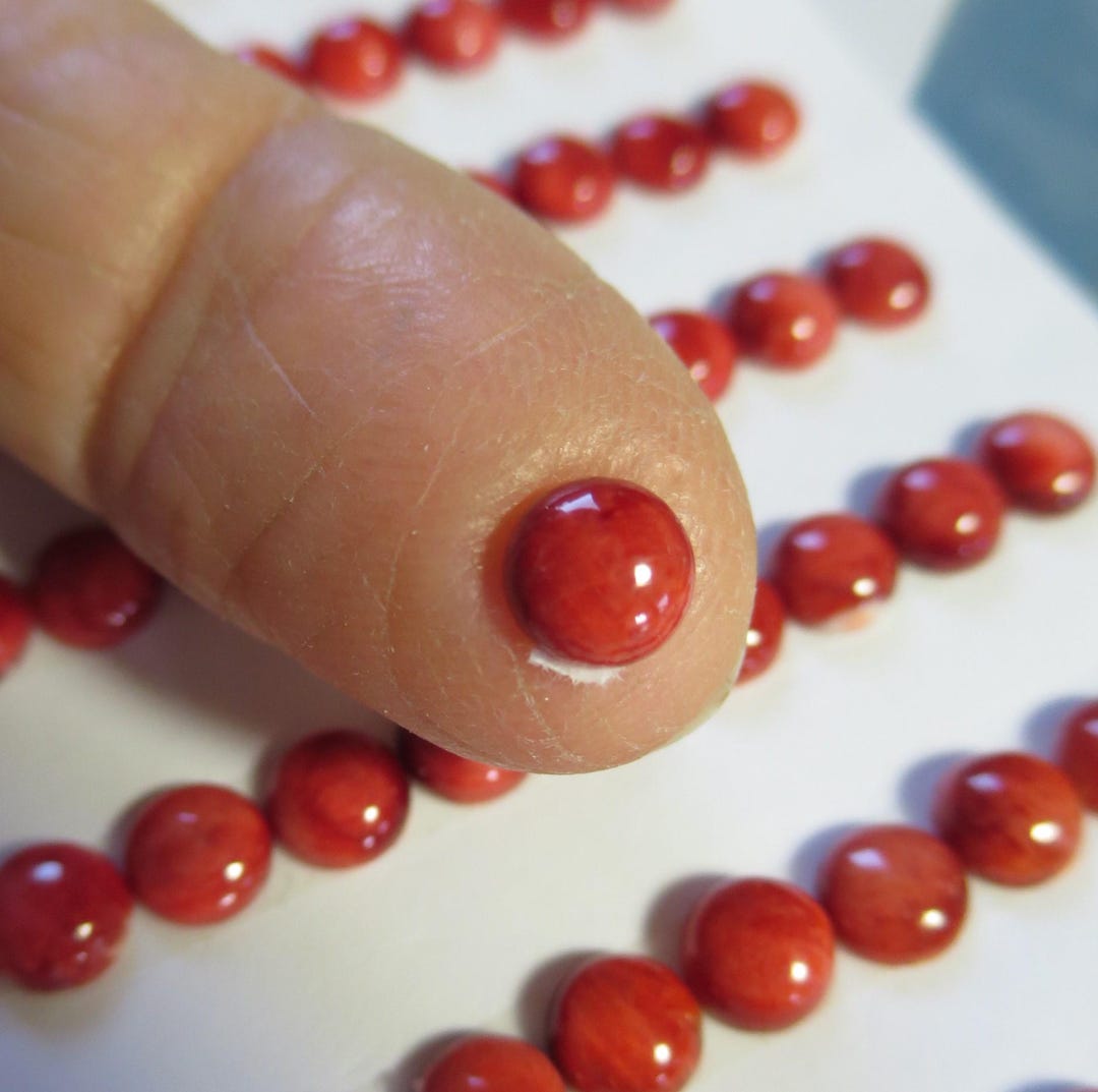 6mm Red Spiny Oyster Shell Rounds-small Parcels - Etsy
