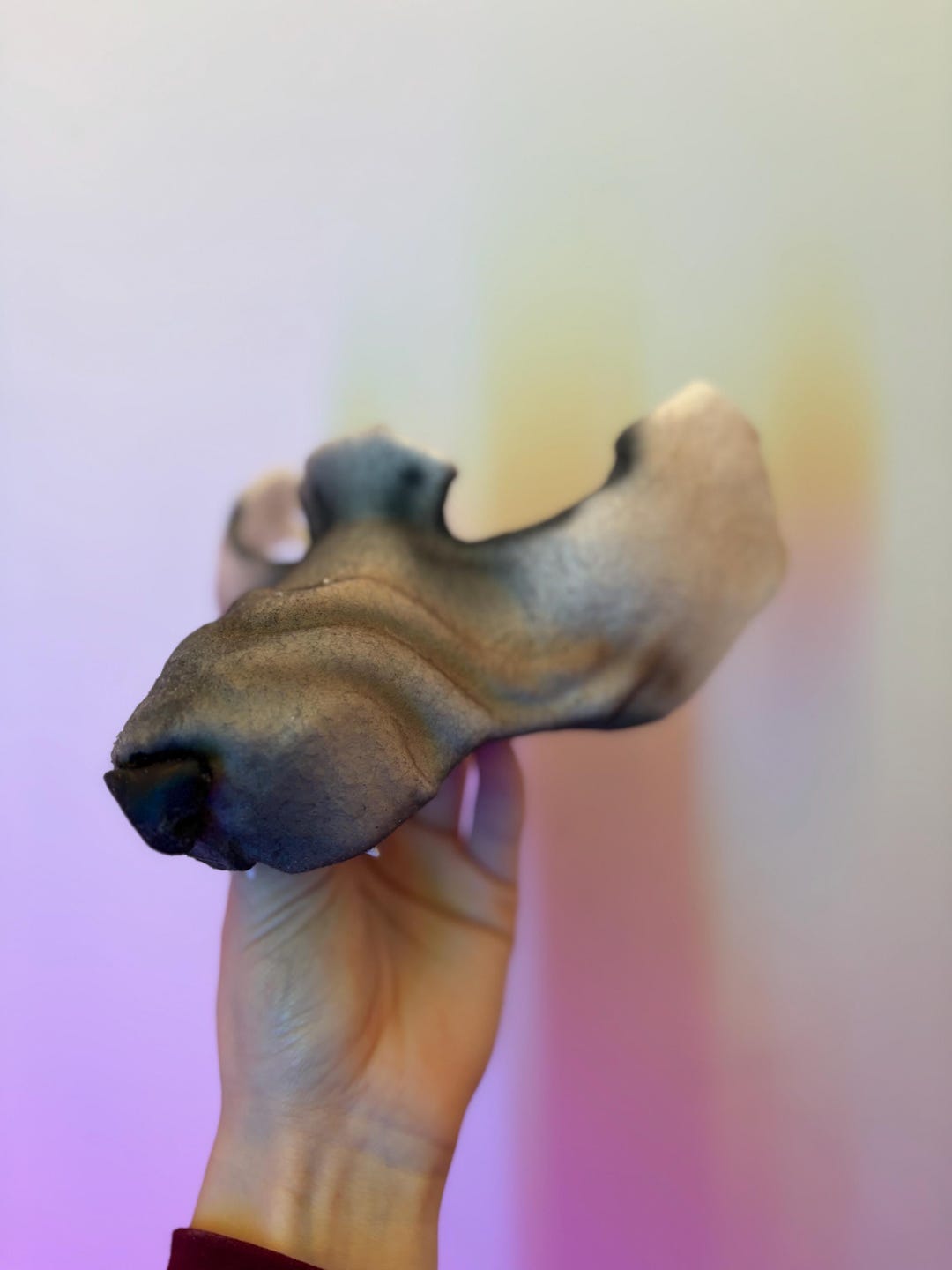 Realistic Snarling Hyena Quarter/snout Mask - Etsy