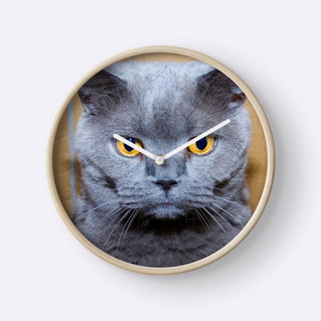 Grumpy British Blue Cat Wall Clock - Etsy