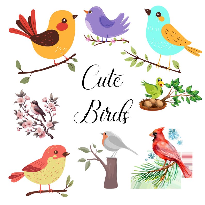 Cute Birds - Clip Art - Set #2 - (5 PNG Files) - Etsy Canada