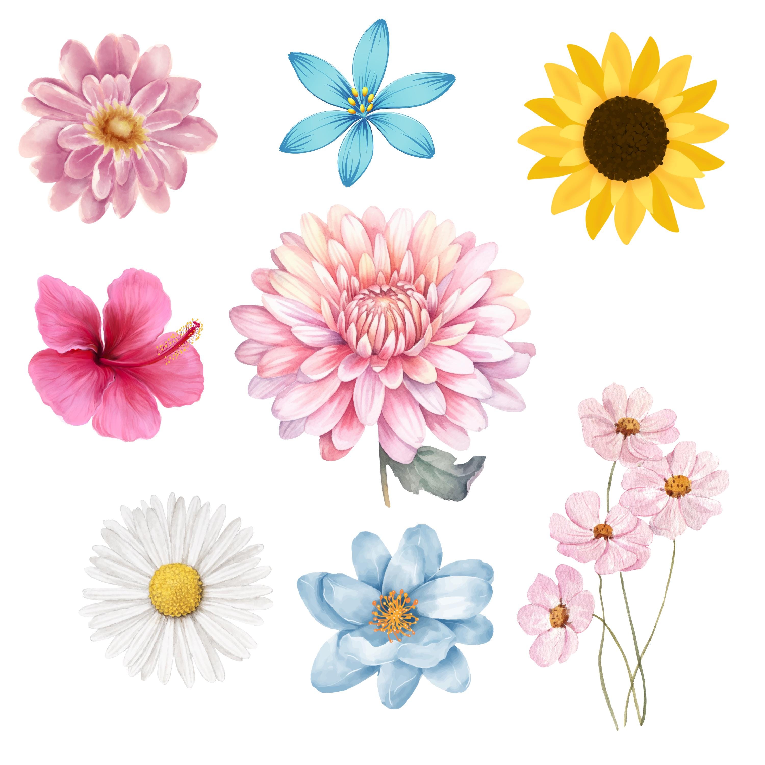 Cute Flowers - Clip Art - Set #1- (5 PNG Files) - Etsy