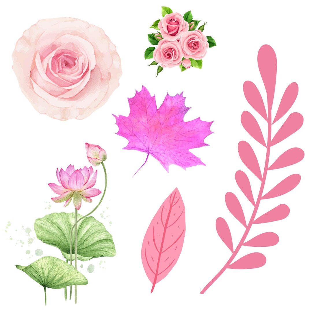 Pink Leaves - Clip Art - Set #1 - (5 PNG Files) - Etsy