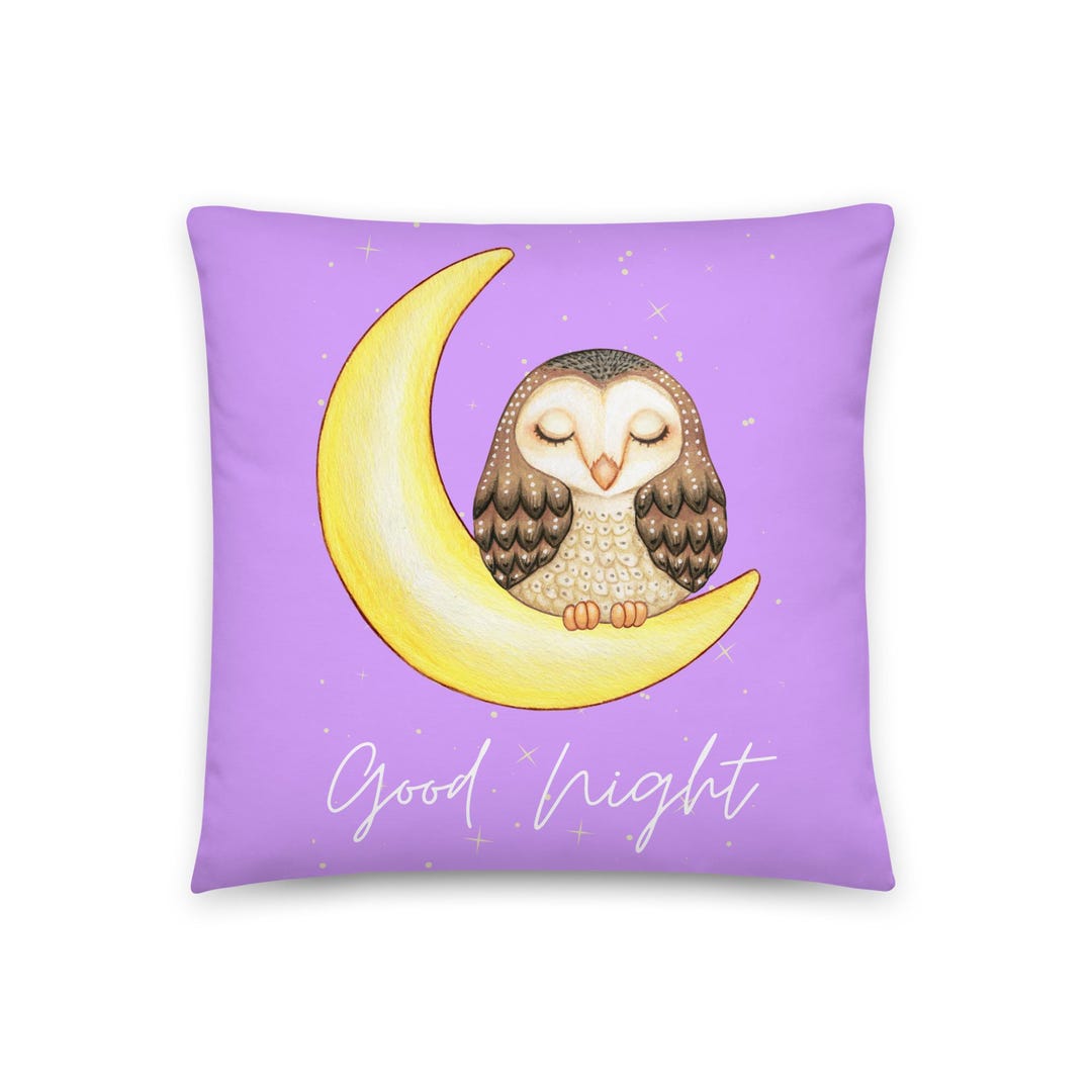 Good Night Owl Pillow - Etsy