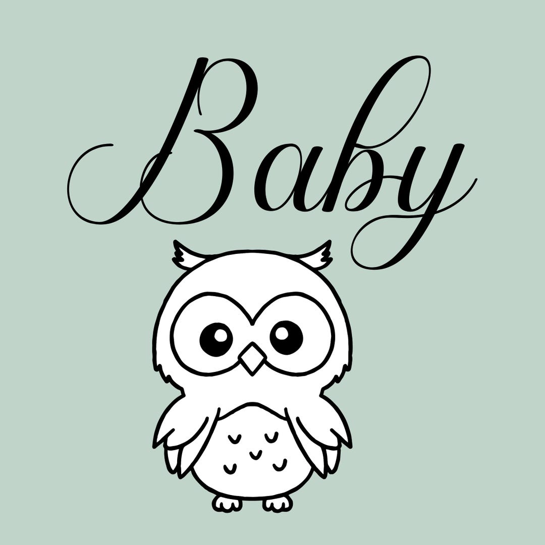 Baby Sign With Little Animal 05 Printable Wall Art 25 X 25 In. Owl - Etsy