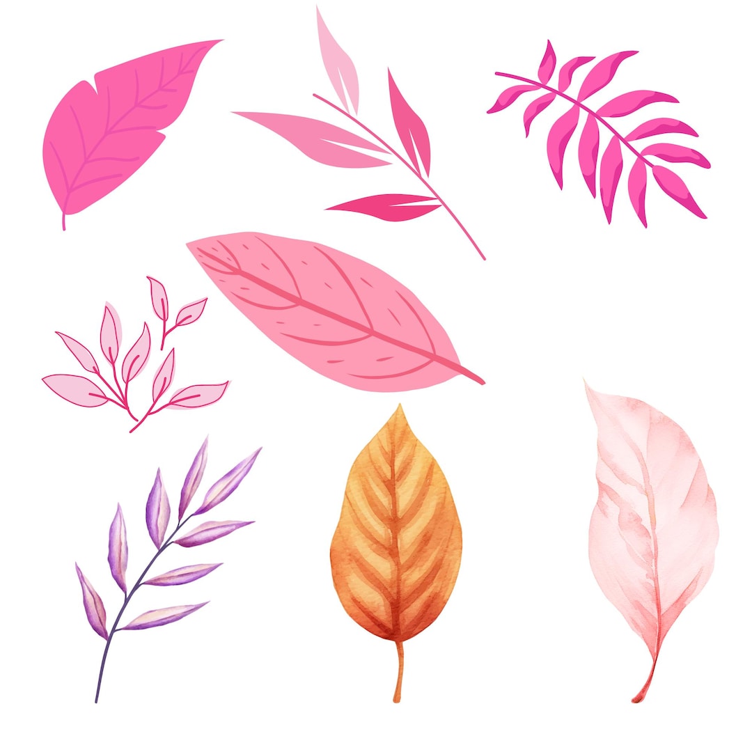 Pink Leaves Clip Art Set 1 2 PNG Files 2000 X 2000px - Etsy
