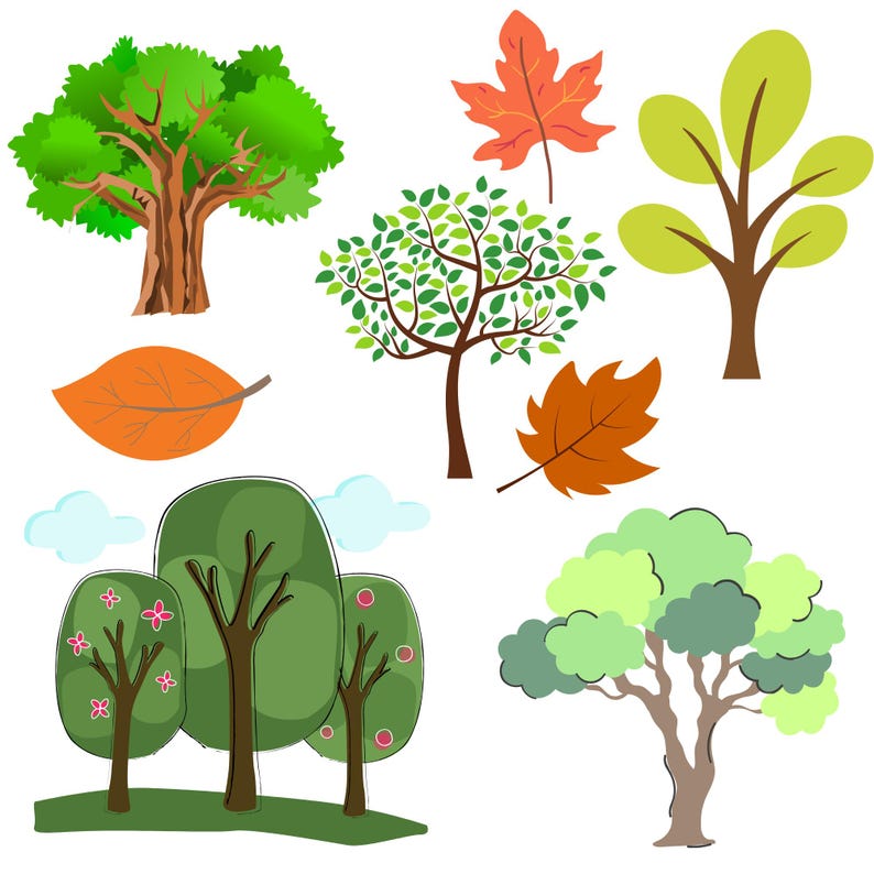 Trees and Leaves Clip Art Set 1 5 PNG Files 2000 X 2000px - Etsy