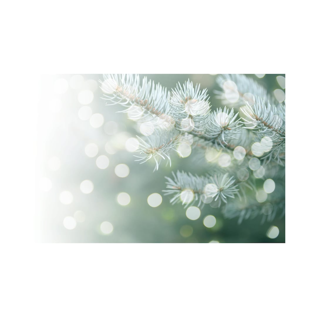 Christmas Backgrounds - Clip Art - Set #6- (5 PNG Files) - Etsy