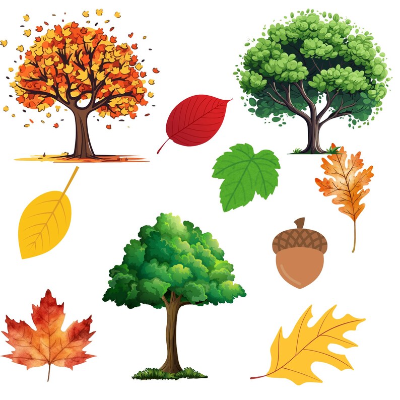 Trees and Leaves - Clip Art - Set #1 - (5 PNG Files) -2000 X 2000px - Etsy
