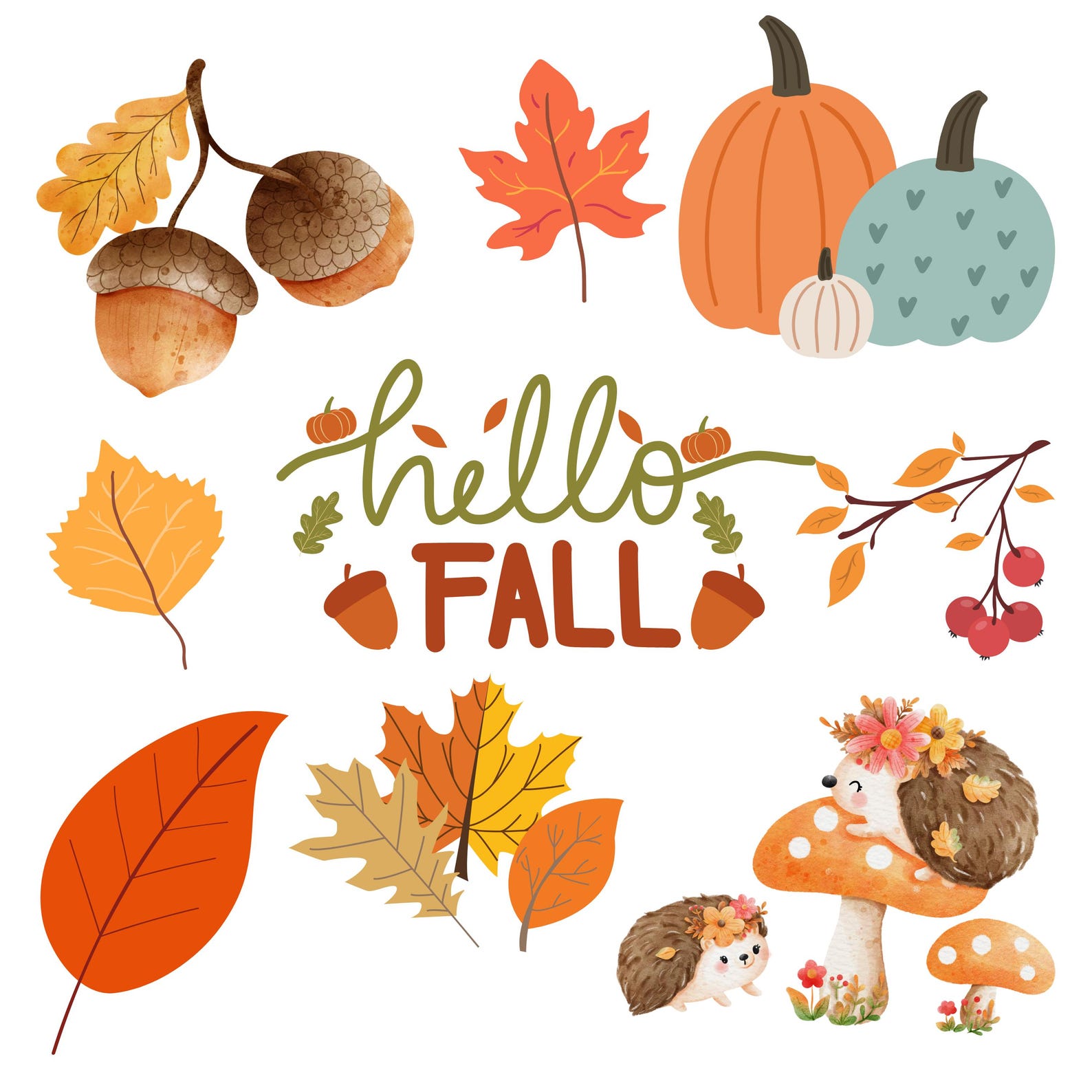 Cute Fall Designs Clip Art 5 Pngs 3000 X 3000 Px 01 - Etsy