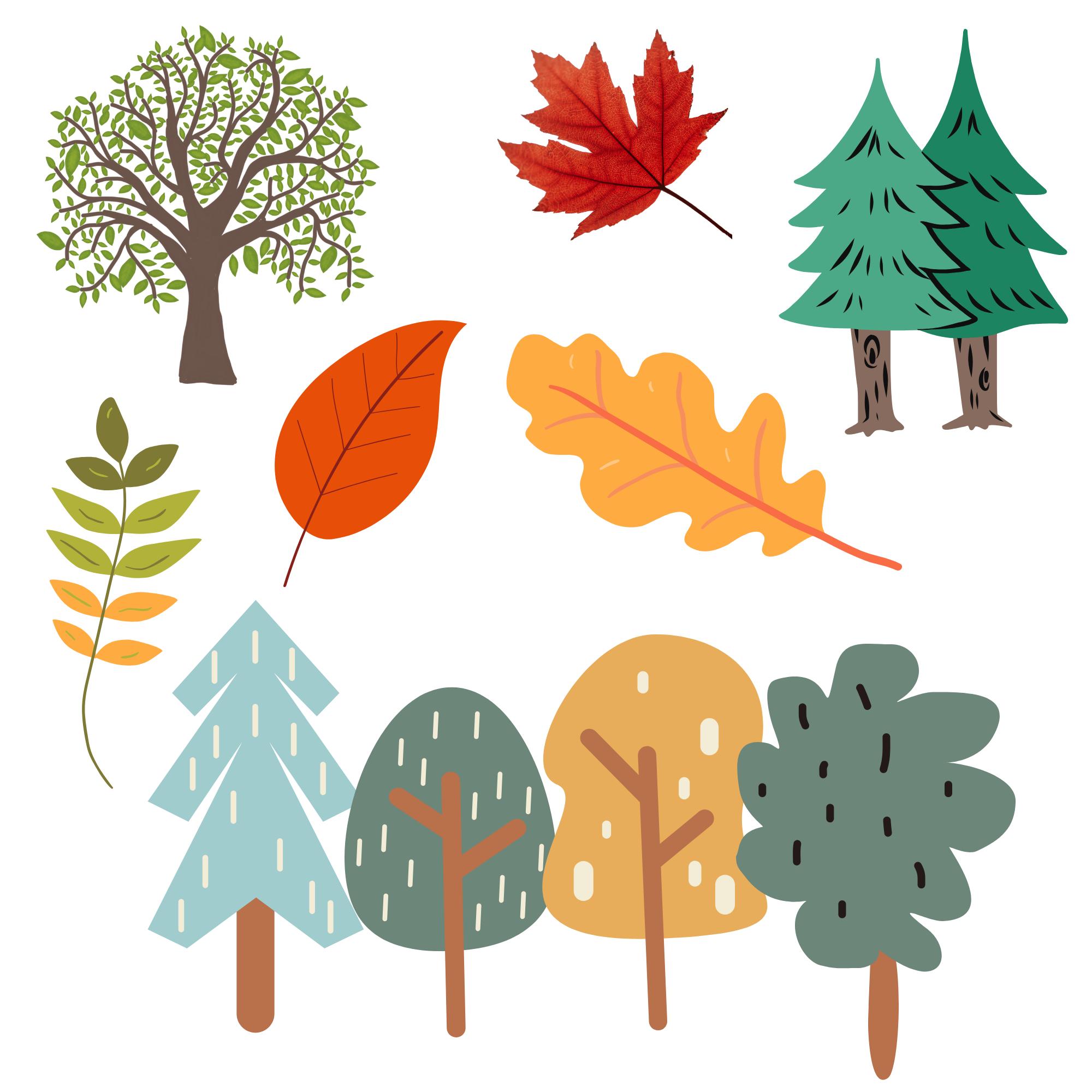 Trees and Leaves - Clip Art - Set #1 - (5 PNG Files) -2000 X 2000px - Etsy