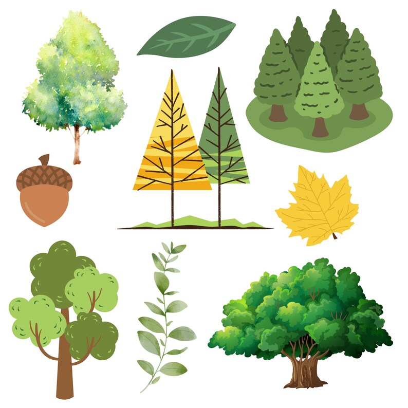 Trees and Leaves Clip Art Set 1 5 PNG Files 2000 X 2000px - Etsy