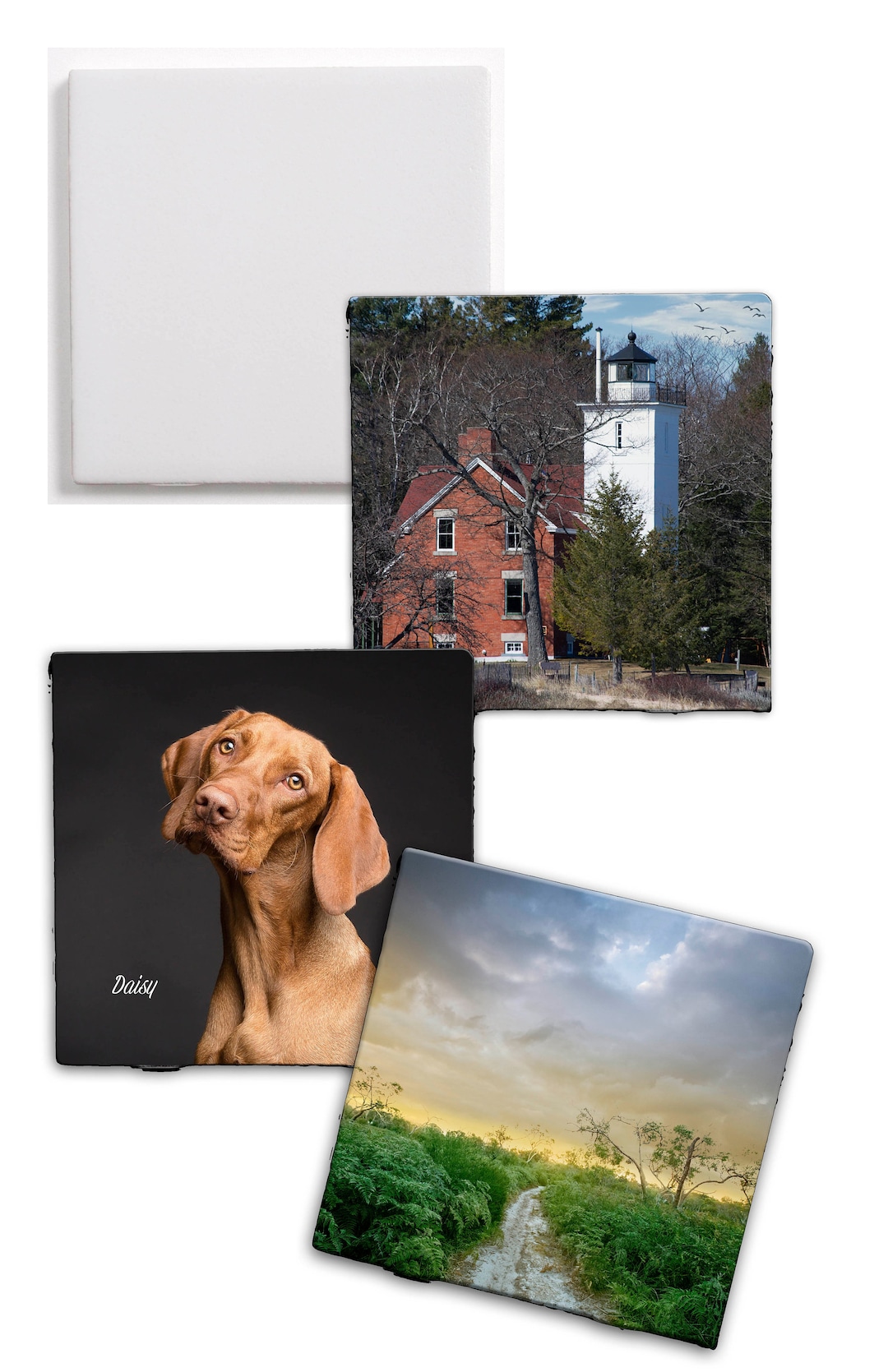 Custom Photo Tile for Floor Personalized Tile 4 Sizes Large 12 , 8, 6 ...