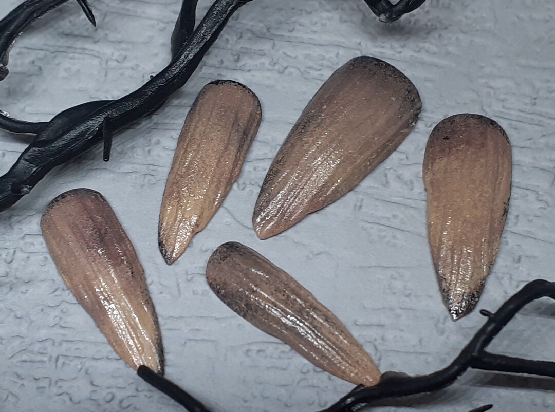 VENEFICUS UNGUIS | Custom Made Witch Claws Halloween Press Ons False ...