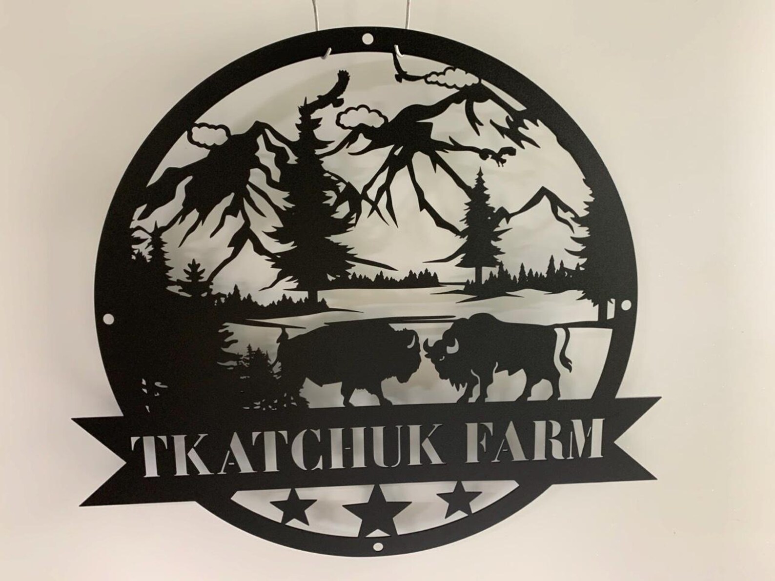 Custom Bison Farm Metal Wall Art, Personalized Bison Farm Metal Name ...