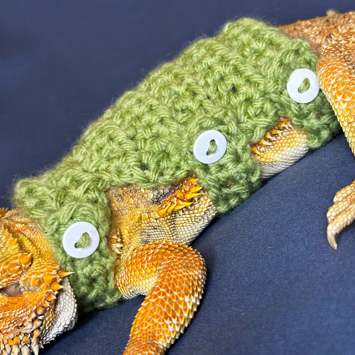 Bearded Dragon Sweater With Buttons Crochet Pattern - Etsy