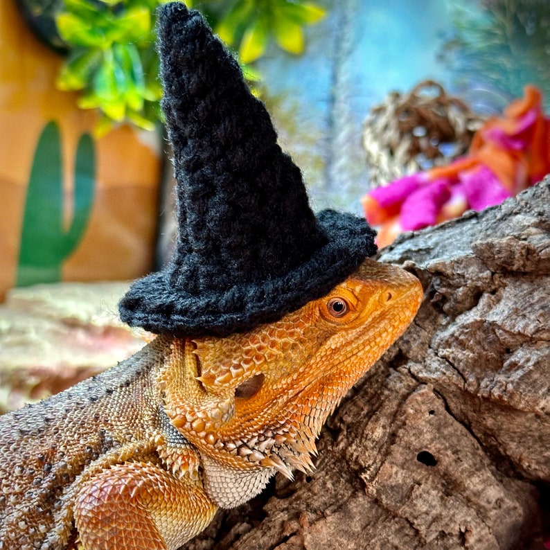 Bearded Dragon Witch Hat Crochet Pattern - Etsy